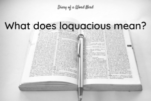 What Does Loquacious Mean | Diary of a Word Nerd