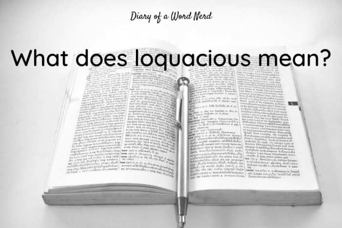 What Does Loquacious Mean | Diary of a Word Nerd