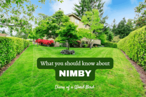 What you need to know about NIMBY | Diary of a Word Nerd